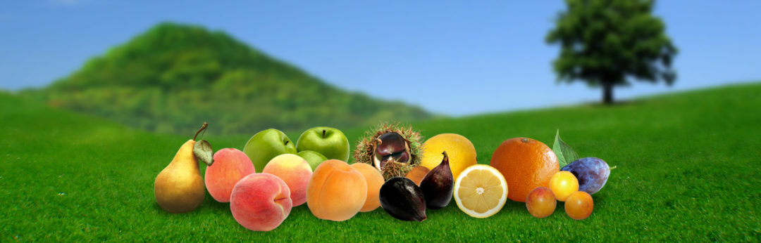 Les fruits du verger - Roger Descours Group - Le fruit surgelé pour l ...