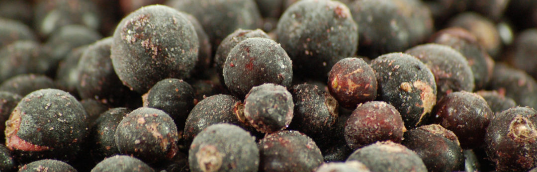 CASSIS - Roger Descours Group - Le fruit surgelé pour l'industrie ...