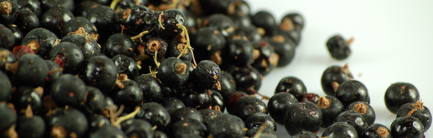 CASSIS - Roger Descours Group - Le fruit surgelé pour l'industrie ...