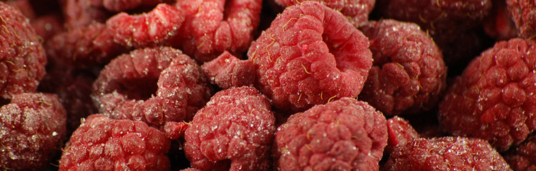 Raspberry | Roger Descours Group - Le fruit surgelé pour l'industrie ...