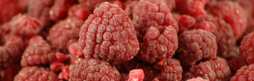 Raspberry | Roger Descours Group - Le fruit surgelé pour l'industrie ...