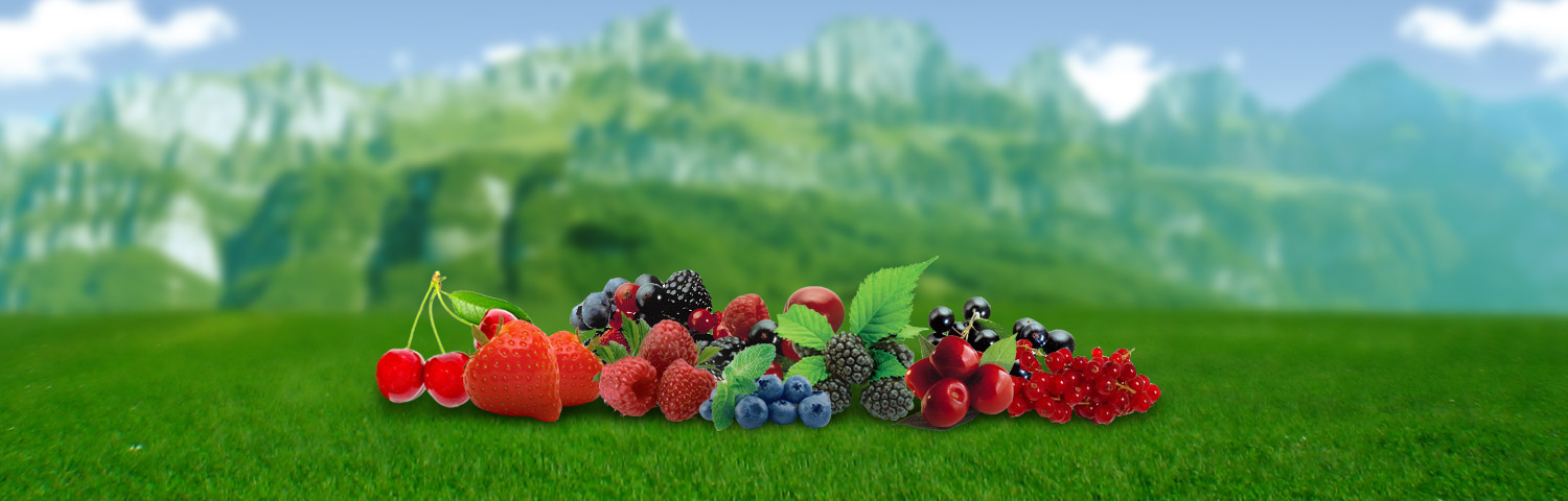 FRAMBOISE - Roger Descours Group - Le fruit surgelé pour l'industrie ...